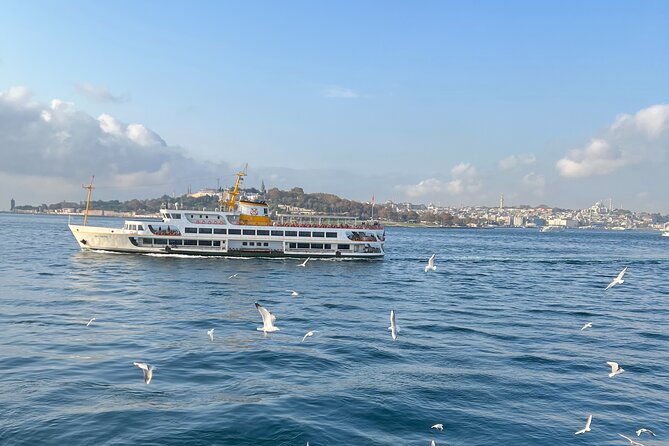 Istanbul Airport or Cruise Ship Private Layover Tour - Who This Tour Is Best For