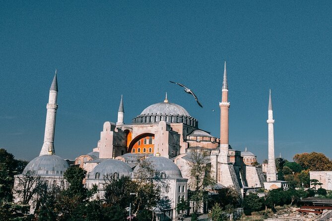 Istanbul Shore Excursion by TRAM: Half Day Private Tour from Port - Who Will Love This Tour?