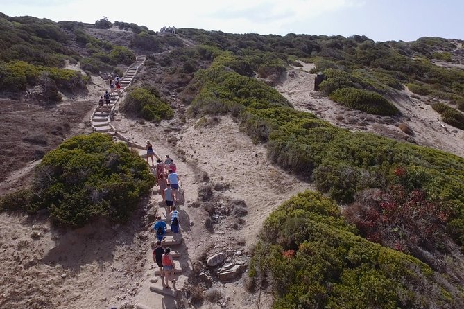 Jeep Safari Akamas from Paphos - Practical Tips for Travelers