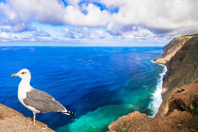 Jeep Safari in Southwest, Calheta and Ponta do Sol Full Day Tour - Who is This Tour For?