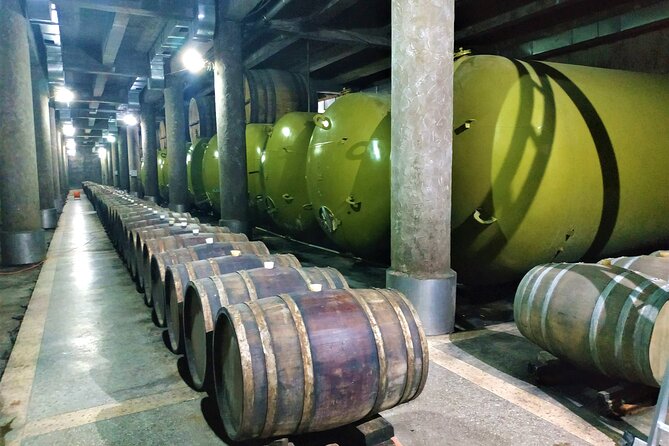 Kakheti Wine Tour with 20+ Wine Tastings & Qvevri Masterclass - Who Should Consider This Tour?