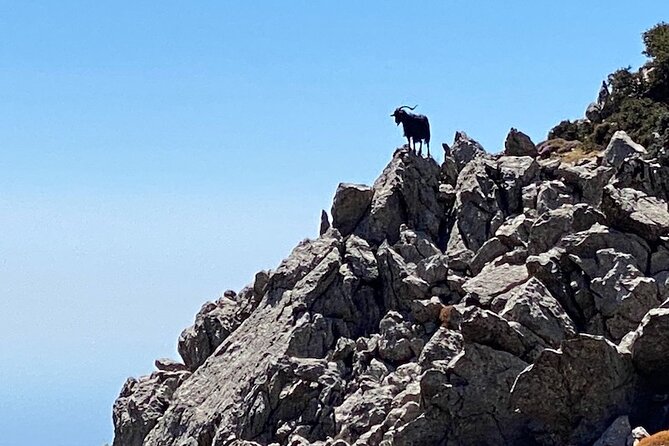 Karpathos Kali Limni Hike to the highest peak of the Dodecanese - The Sum Up