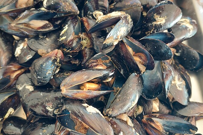 Kayaking and mussels tasting at Krka River estuary-private tours - Final Thoughts: Is It Worth It?