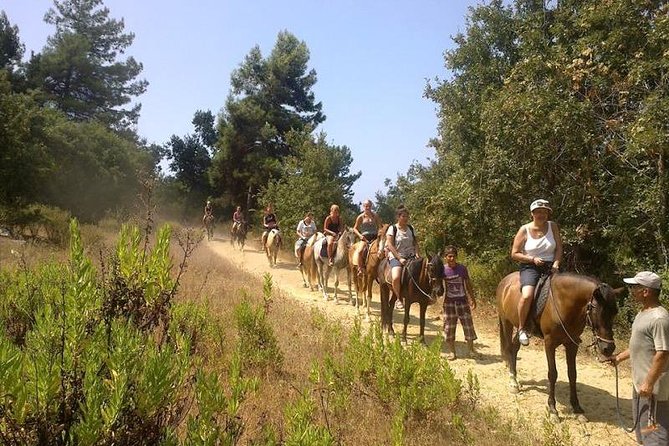 Kusadasi Horseback Riding - Price and Value
