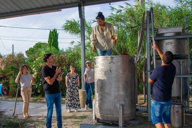 Lavender Harvesting and Distillation Workshop in Bellegarde - The Experience’s Highlights as Praised by Visitors