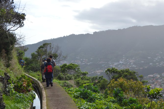 Levada da Referta - Castelejo - Who is This Tour Best For?
