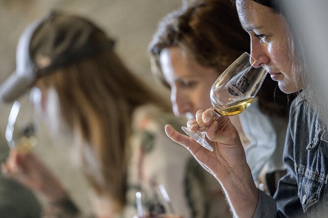 Loire Valley Wines Private Day Tour with Tastings from Tours or Amboise - Final Thoughts