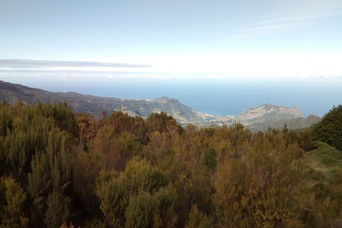 Madeira half-day old road west sidecar tour - Calheta: Golden Sands and Rum
