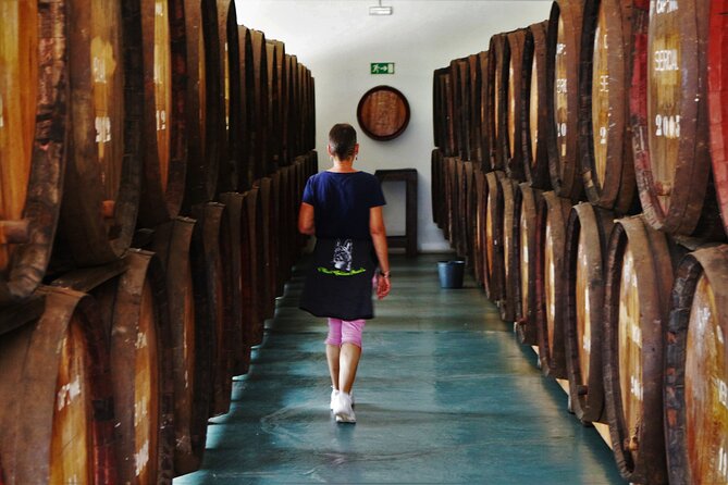 Madeira Island Private Wine Full-day Tour in all terrain vehicle - Reviews and Authentic Perspectives