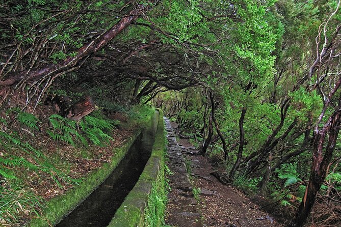 Madeira Levada Walk - Rabacal Lakes and Fountains - Frequently Asked Questions