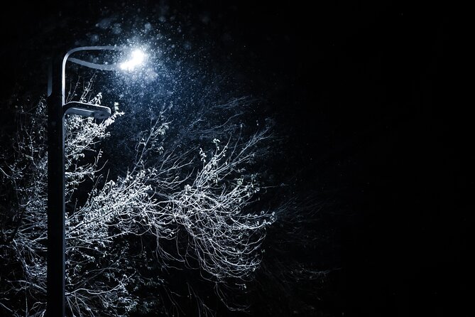 Magical Christmas Tour in Beautiful Reykjavik - FAQ