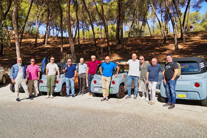 Málaga VIP Tour by Electric Car  Private 5-Hour Experience - Frequently Asked Questions