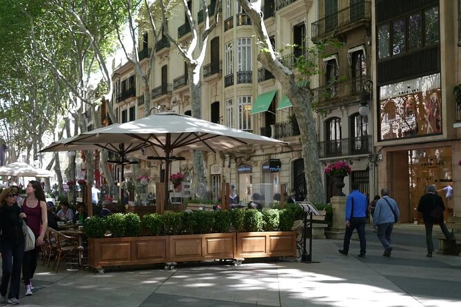 Mallorca Shore Excursion Highlights Private Tour including Valldemossa - Final Thoughts and Conclusions