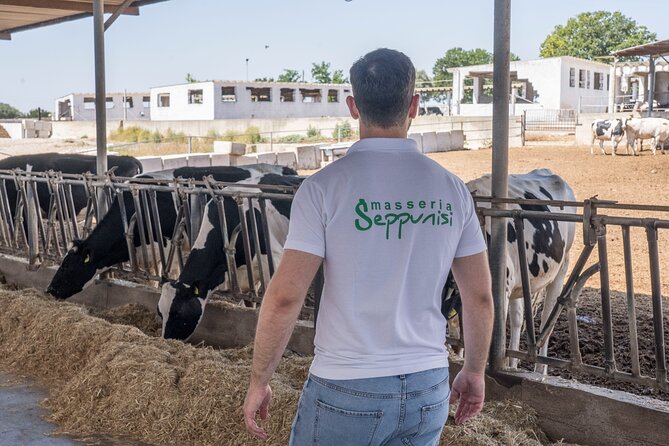 Masseria Seppunisi Tour - Mozzarella and Burrata experience - The Sum Up: The Best of Authentic Puglia