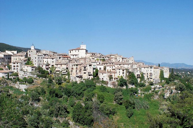 Monaco and Perched Medieval Villages - private & Guided Tour - Who Should Book This Tour?