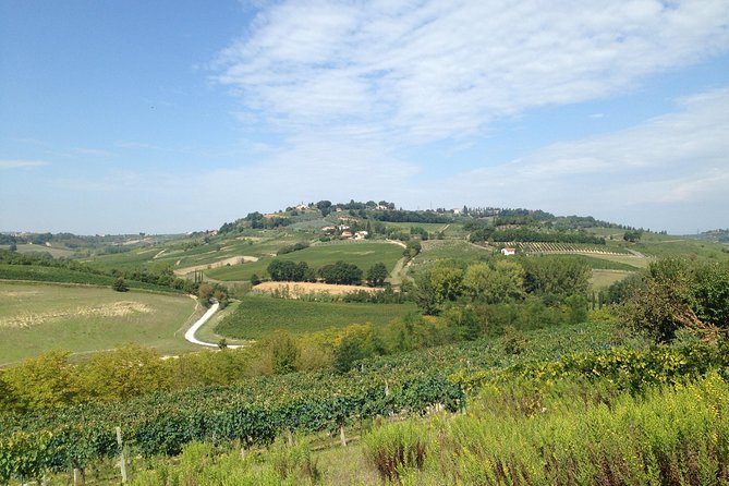 Montepulciano Pienza Montalcino Tour from Siena - Transportation and Comfort