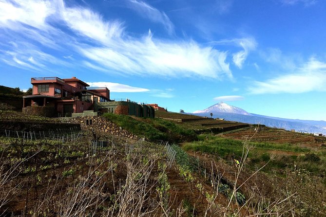 Mount Teide and Tenerife North with Food & Wine Tasting Private Tour - Final Thoughts: Is This Tour Right for You?