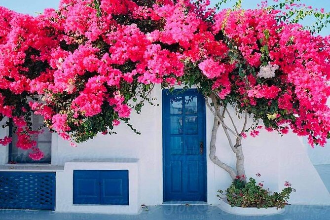 Mykonos Coastal Delights: A Cruise Passenger's Dream Day - What Past Travelers Say