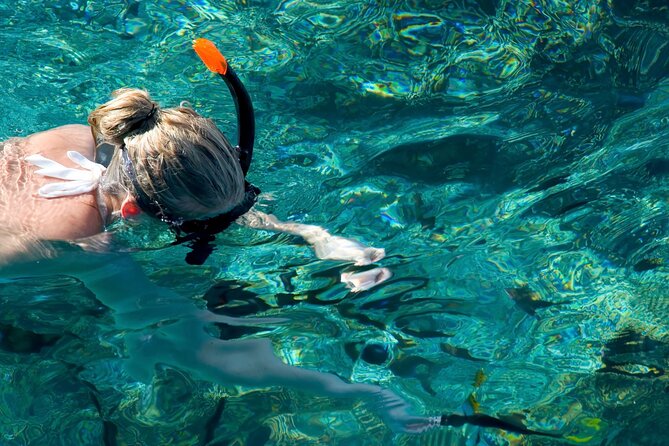 Mykonos: Private Catamaran Cruise with BBQ & Drinks - Who Will Love This Experience?