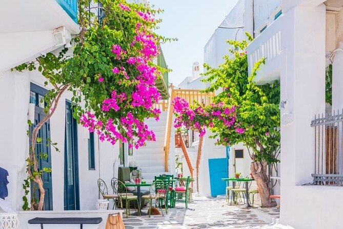 Mykonos Tour from Cruise Port including Little Venice & Windmills - The Sum Up: Is This Tour Right for You?