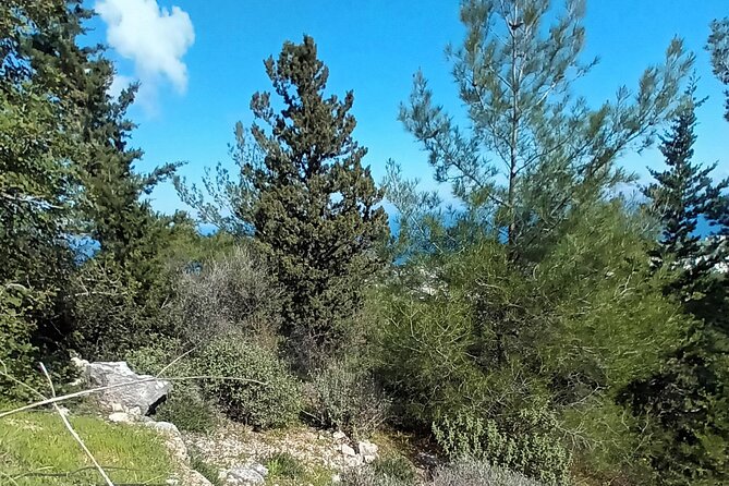 Nature Walking tour in the Mediterranean Cyprus-6days - Frequently Asked Questions