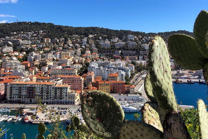 Nice City Best Highlights E-bike Tour - Authentic Traveler Feedback