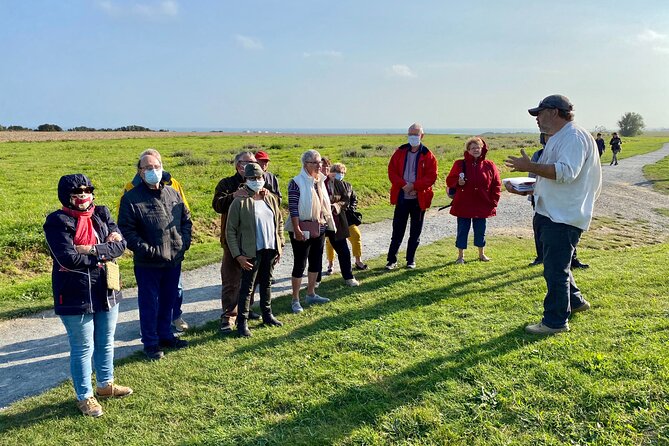 Normandy American D-Day Beaches Full Day Tour from Bayeux - The Sum Up