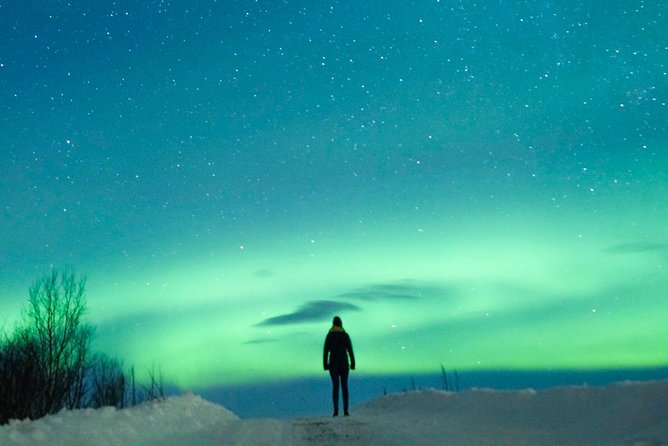 Northern Lights Bus Tour from Reykjavik - FAQ