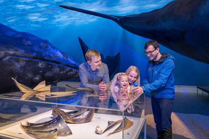Northern Lights by Boat with a Backup Plan from Reykjavik - FAQ
