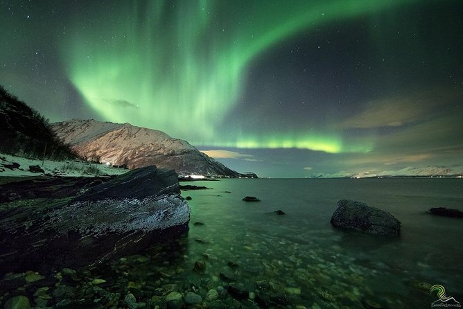 Northern Lights by Minibus. Photos Under the Lights included. Tromso - Who Should Book This Tour?