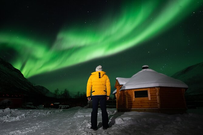Northern Lights Chase by Minibus - Who Will Love This Tour?