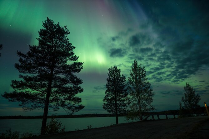 Northern Lights Tour with BBQ and drinks - Reviews: Real Voices