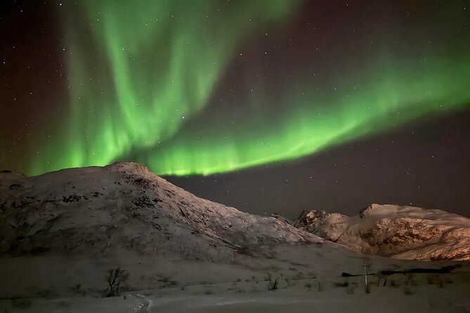 Northern Lights Tour with Hot Food and Drinks in Tromso - FAQs