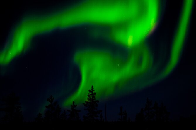 Northern Lights Tour With Skis Or Snowshoes in Pyhä - Equipment Setup and Preparation