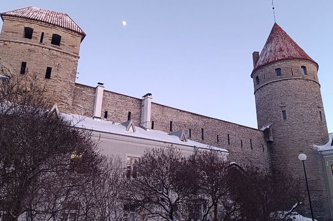 Old Tallinn & its Medieval Past Private tour - Final Thoughts: Who Is This Tour Best For?
