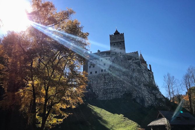 One day trip Bear Sanctuary, Dracula Castle, Rasnov Fortress from Brasov - The Sum Up