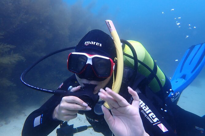 Open Water Diver Course in Arrabida Natural Park (Near Lisbon) - Practical Details for Participants
