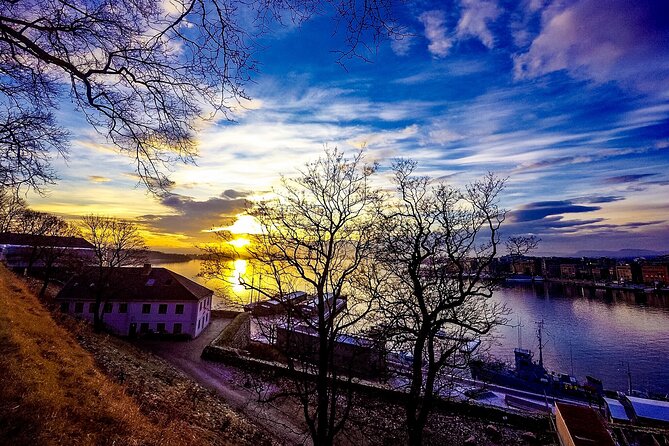 Oslo Panorama El-Bike Tour - Who Will Love This Tour?