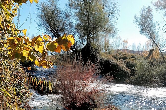 Paella, Olive Oil, Wine & Relax in Rural Estate outside Madrid - The Logistics: Transportation & Timing