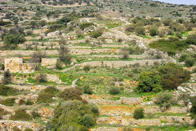 Paros Byzantine Path Ancient Greek Route Hiking Experience - The Sum Up: Who Will Love This Tour?