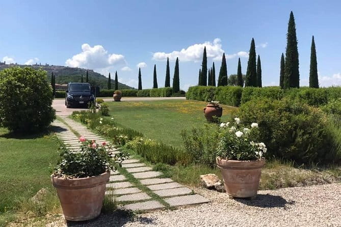 Pisa and Lucca Day Trip from Florence - The Sum Up: Is This Tour Right for You?