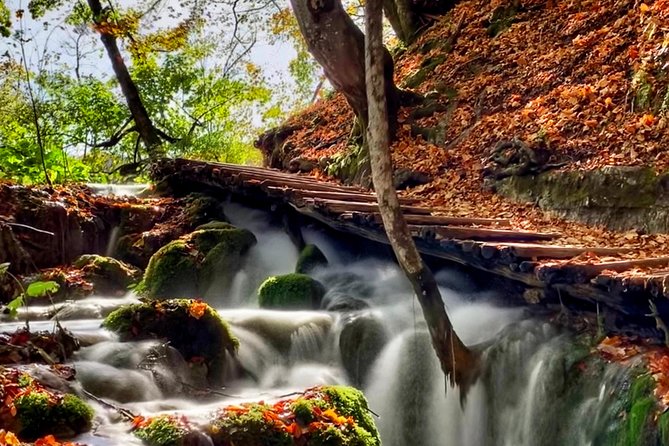 Plitvice Lakes National Park - private day-trip from Zagreb - The Sum Up
