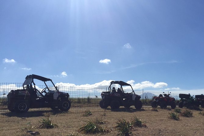 Polaris Buggy 4-Hour Safari from Rethymno Town - The Sum Up