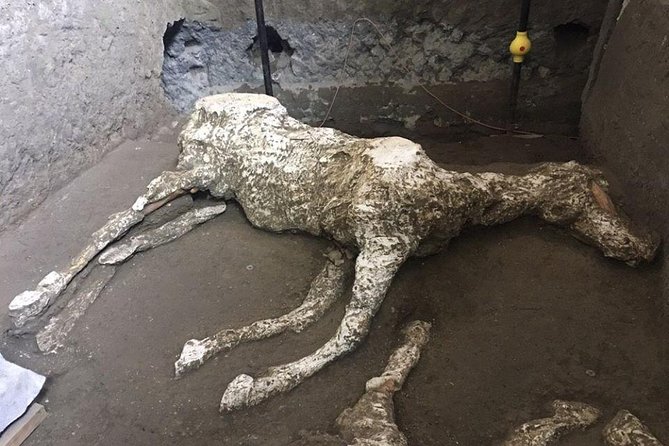 Pompeii and Herculaneum Day Tour - with Lunch from Naples - Frequently Asked Questions