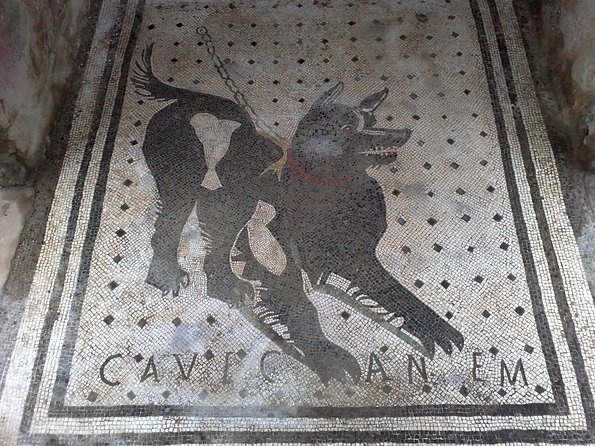 Pompeii Positano and Sorrento shared excursion with Pompeii skip the line entry - FAQ