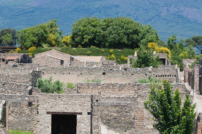 Pompeii Ruins Half-Day Tour from Sorrento with Guide - Authenticity and Practical Tips