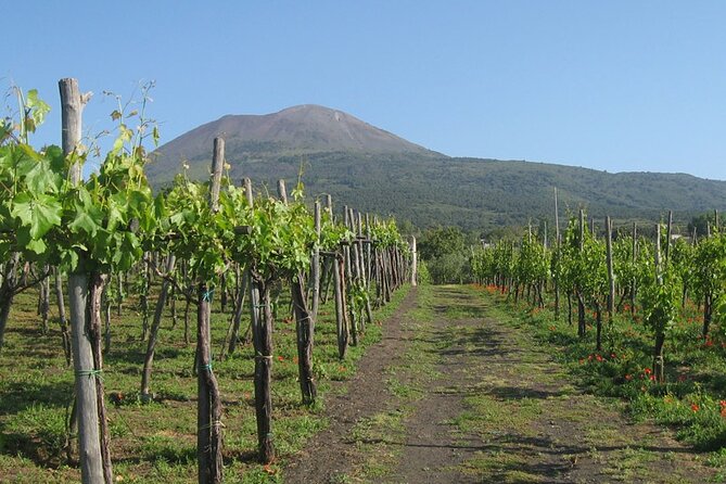 Pompeii Sorrento and Wine Tasting Tour from Naples - The Sum Up