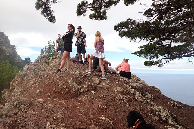 Porto Santo - Terra Chã Hiking Tour - Practical Details & How to Make the Most of It