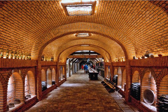 Premium & Organic Wine Tour in Kakheti - Who Should Consider This Tour?