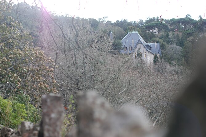 Private 1 hour and half Sintra Guided Tour - Summary: Is It Worth It?